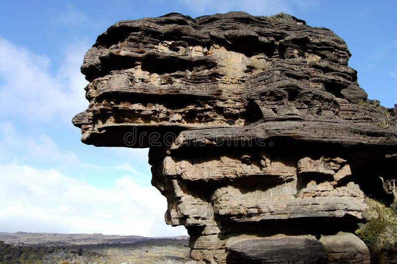 Mount Roraima stock photo. Image of table, tranquil - 108080782