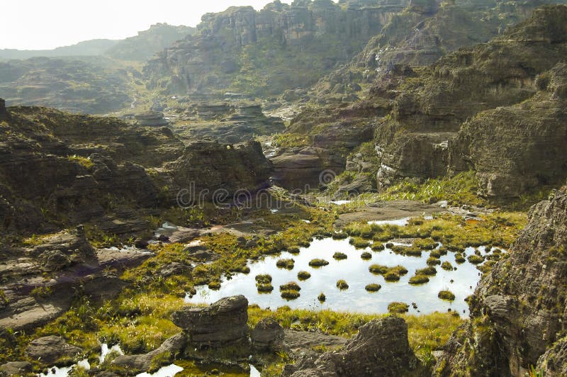Mount Roraima stock photo. Image of national, slope - 108080902