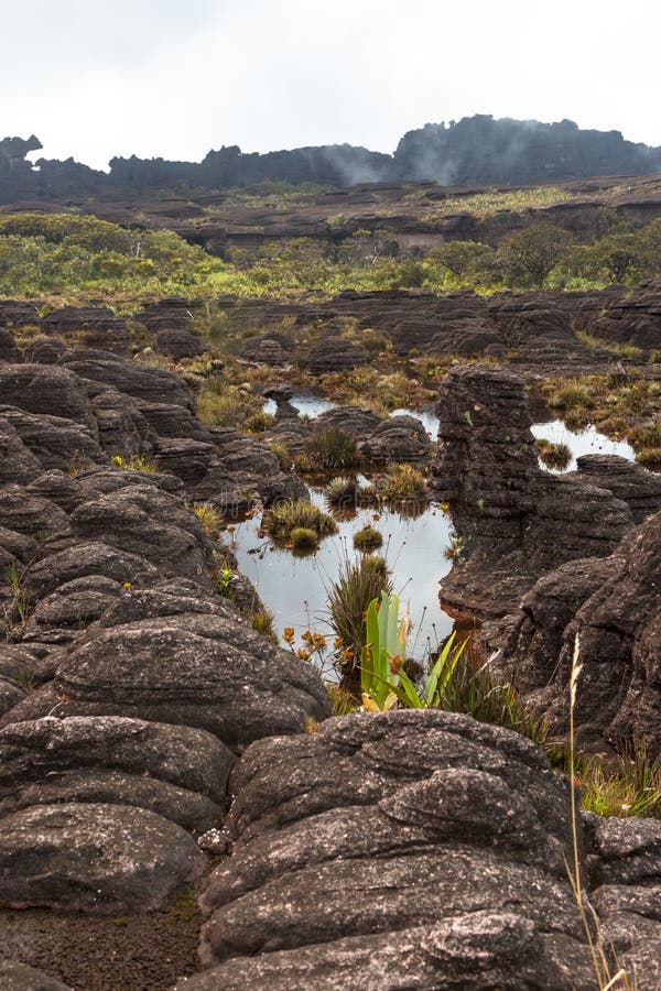 Mount Roraima stock image. Image of climbing, landscape - 103149089