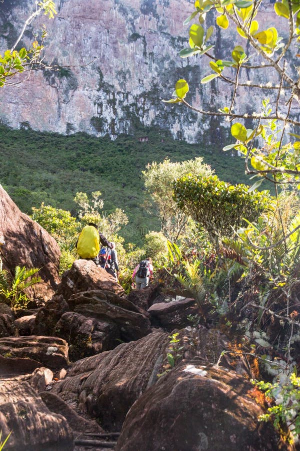 Trekking Mount Roraima stock photo. Image of cloud, roraima - 103150298