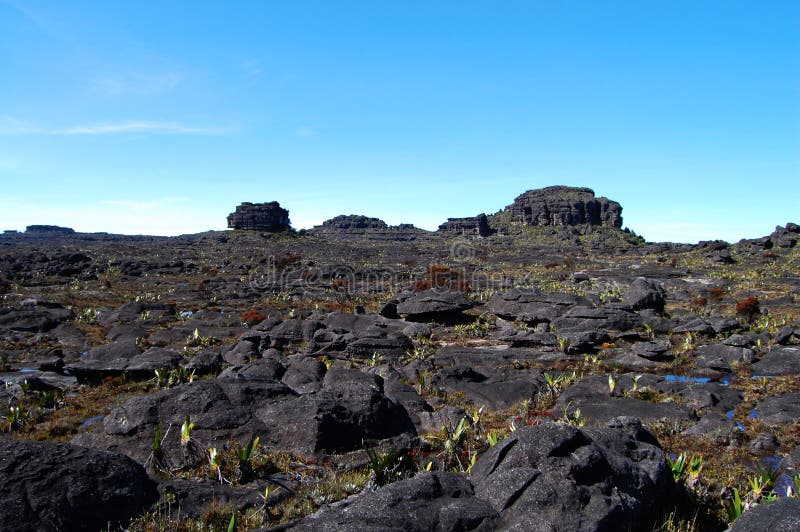 Basin on the Top of Roraima Plateau Stock Image - Image of water ...