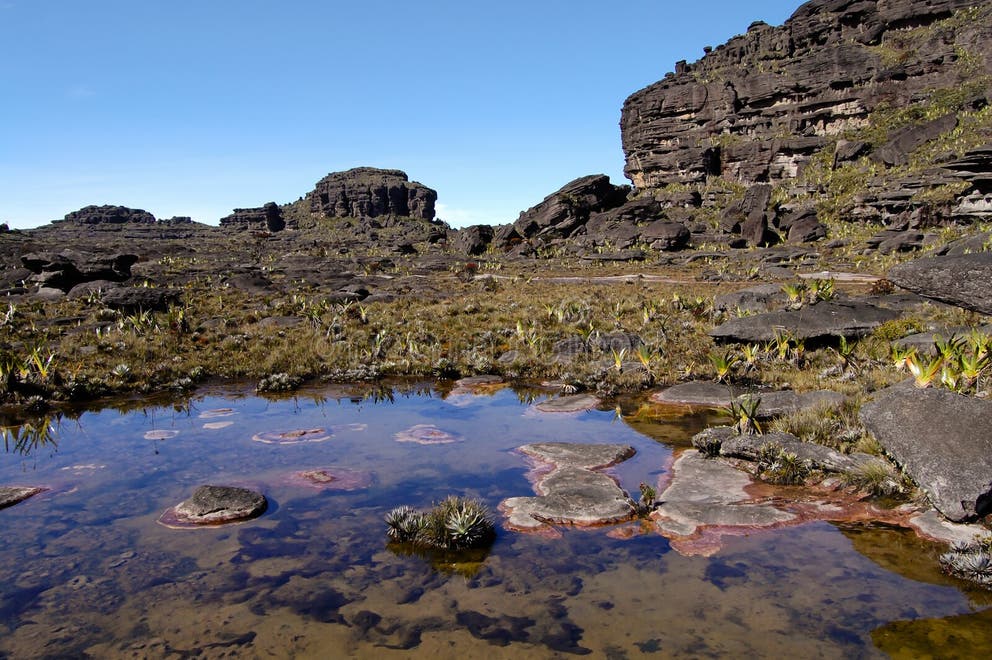 Mount Roraima - Venezuela stock photo. Image of outdoor - 90068402