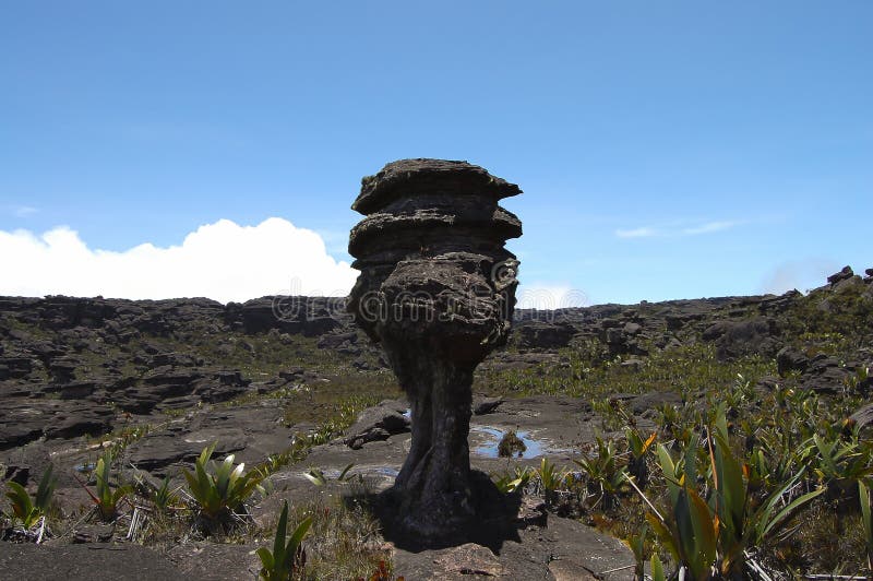 Mount Roraima - Venezuela stock photo. Image of venezuela - 90068422