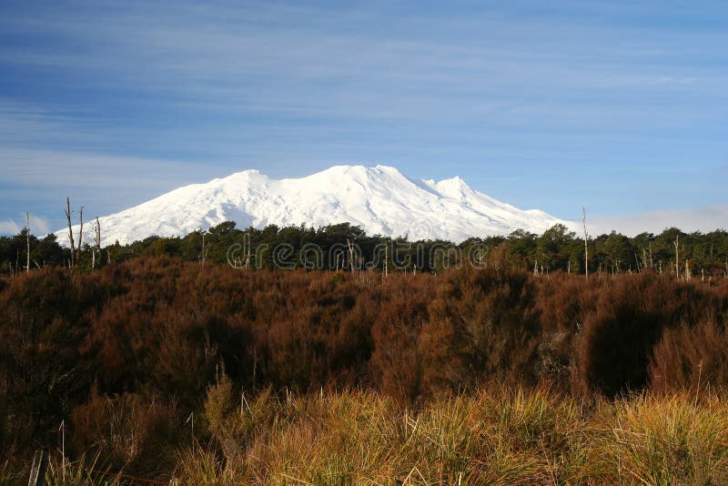 Mount Ruapehu volcano stock photo. Image of grass, calm - 26207070