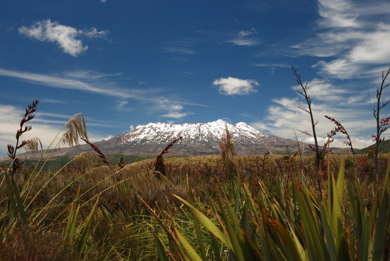 Mount Ruapehu and Chateau Tongariro Stock Image - Image of park, grass ...