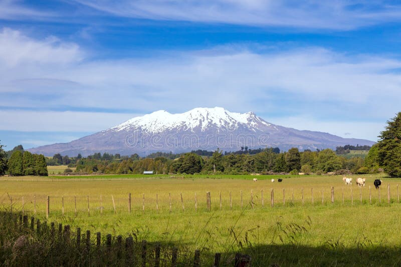 Mount Ruapehu Volcano in New Zealand Stock Photo - Image of mountain ...
