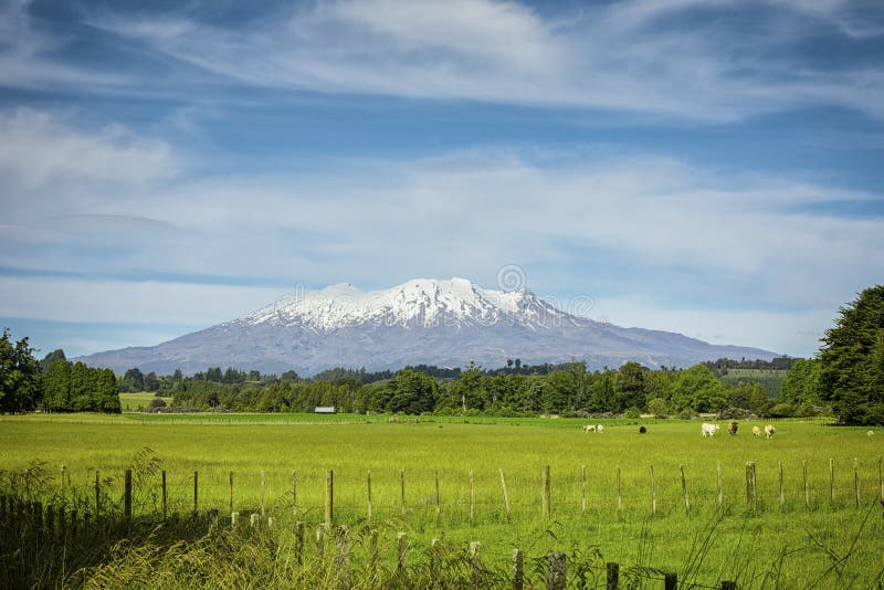 Mount Ruapehu Volcano in New Zealand Stock Image - Image of farm ...