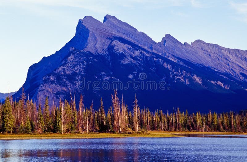 Mount Rundle stock image. Image of lakes, forest, backwoods - 7805149