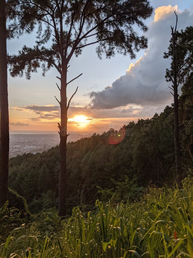 Mount Saint Benedict stock image. Image of hill, leaf - 234299951