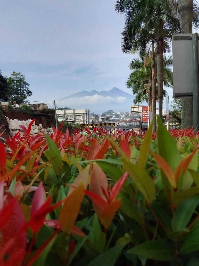 Mount Salak, Bogor Indonesia Stock Photo - Image of view, morning ...