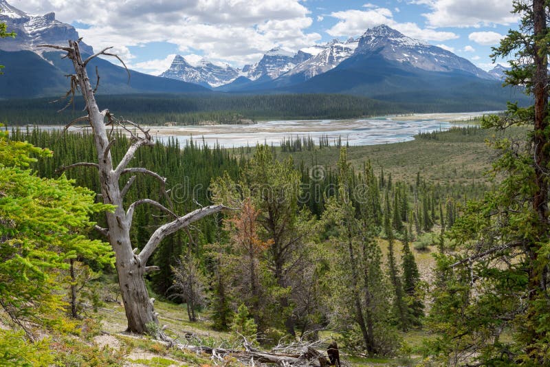Saskatchewan Mountains