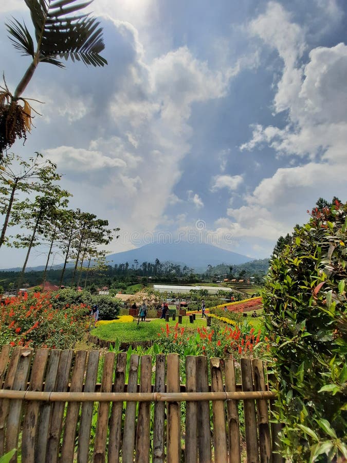 Mount selamet indonesia stock image. Image of indonesia - 202614555