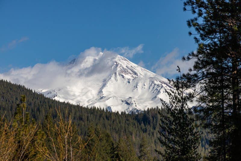 Mount Shasta stock image. Image of snow, tree, mount - 277232703