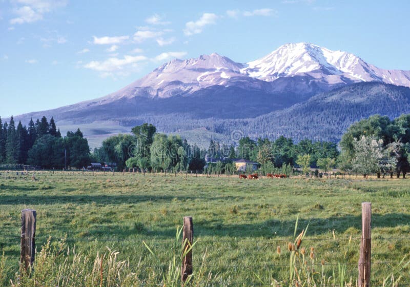 Mount Shasta in summer stock photo. Image of shasta, mount - 55460566
