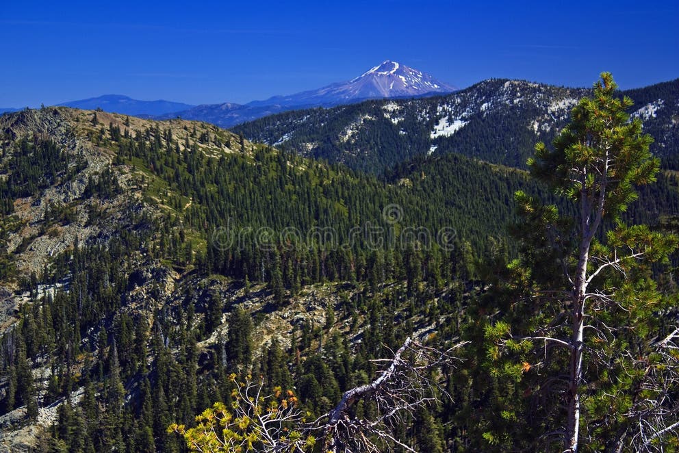 Mount Shasta from Trinity Alps Stock Image - Image of crest ...