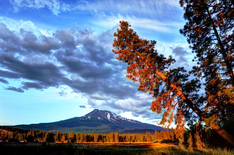 Mount Shasta Under Dramic Clouds and Trees Stock Image - Image of ...