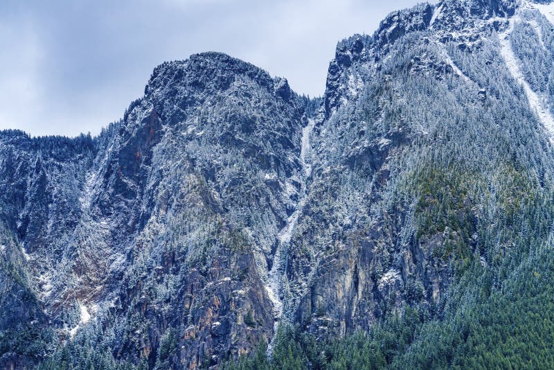 Mount Si Snow Evergreen North Bend Washington Stock Photo - Image of ...