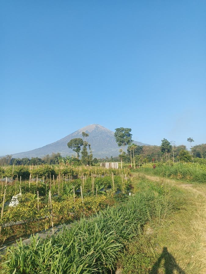 Mount Sindora, Central Java, Indonesia Stock Image - Image of mount ...