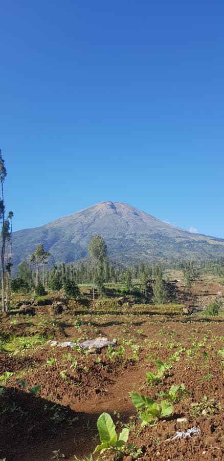 Mount Sindoro Dieng Plateau Indonesia Stock Photo - Image of indonesia ...