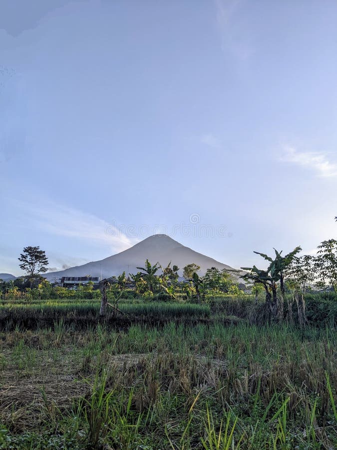 Mount Sindoro when stock image. Image of wetland, hill - 328049325