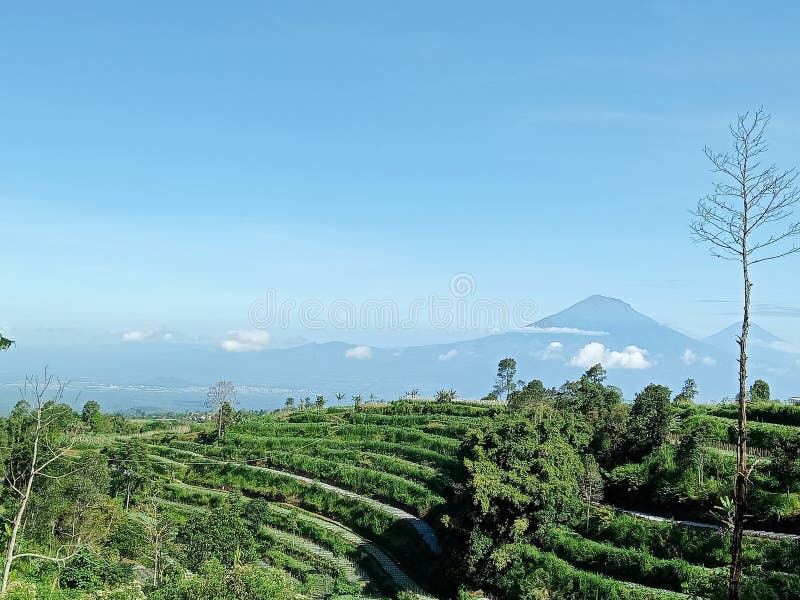 Mount Sindoro and Mount Sumbing Stock Photo - Image of centraljava ...