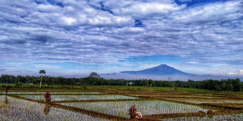 Mount Slamet, Central Java stock image. Image of java - 238835963