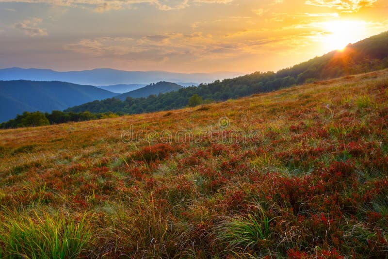 Mount Slope with Grass at the Sunset Stock Image - Image of panoramic ...