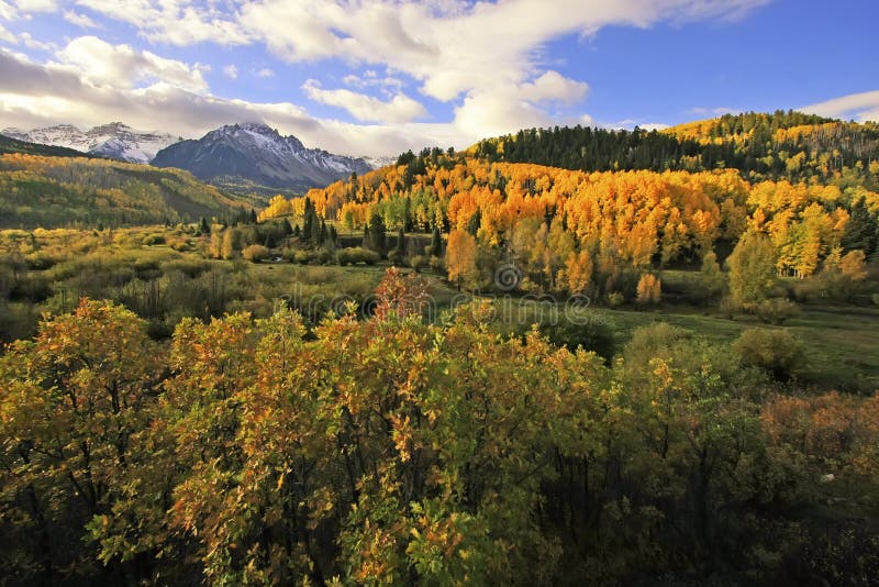 Mount Sneffels Range, Colorado Stock Image - Image of pine, outdoor ...