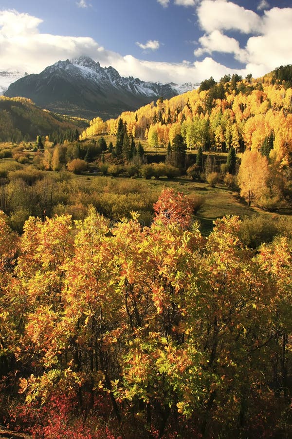Mount Sneffels Range, Colorado Stock Photo - Image of forest, america ...