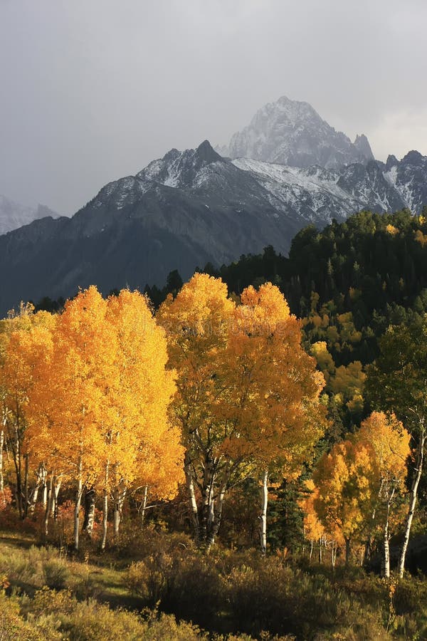 Mount Sneffels Range, Colorado Stock Photo - Image of color, mears ...