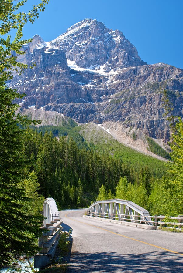 Mount stevens stock photo. Image of forest, mountains - 20317190