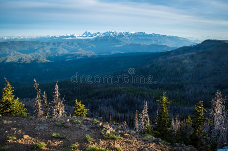 Mount Stuart and Ridges stock photo. Image of forest - 281620458