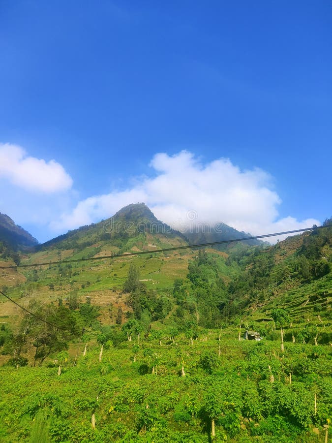 Mount Sumbing from Silancur Stock Photo - Image of mount, forest: 223526152
