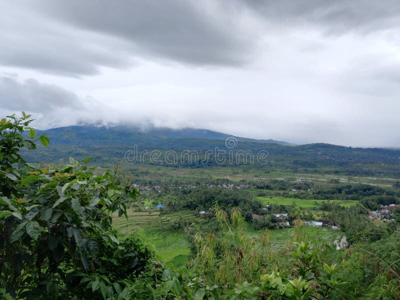 Mount talang stock photo. Image of cloud, plateau, tree - 264304118