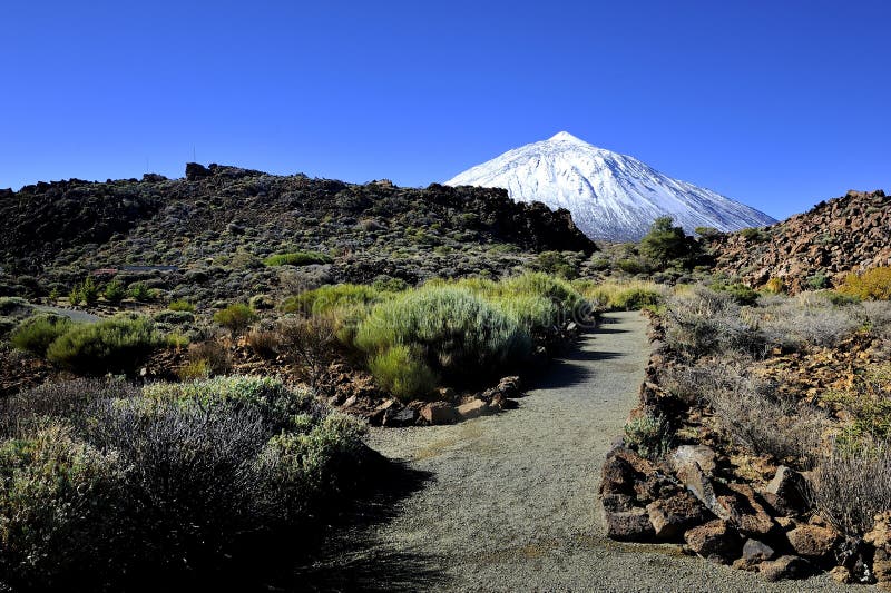 Snow covered mount teide stock photo. Image of covered - 153547676