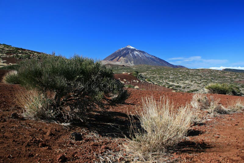 Mount Teide stock photo. Image of peak, islands, unesco - 97886208