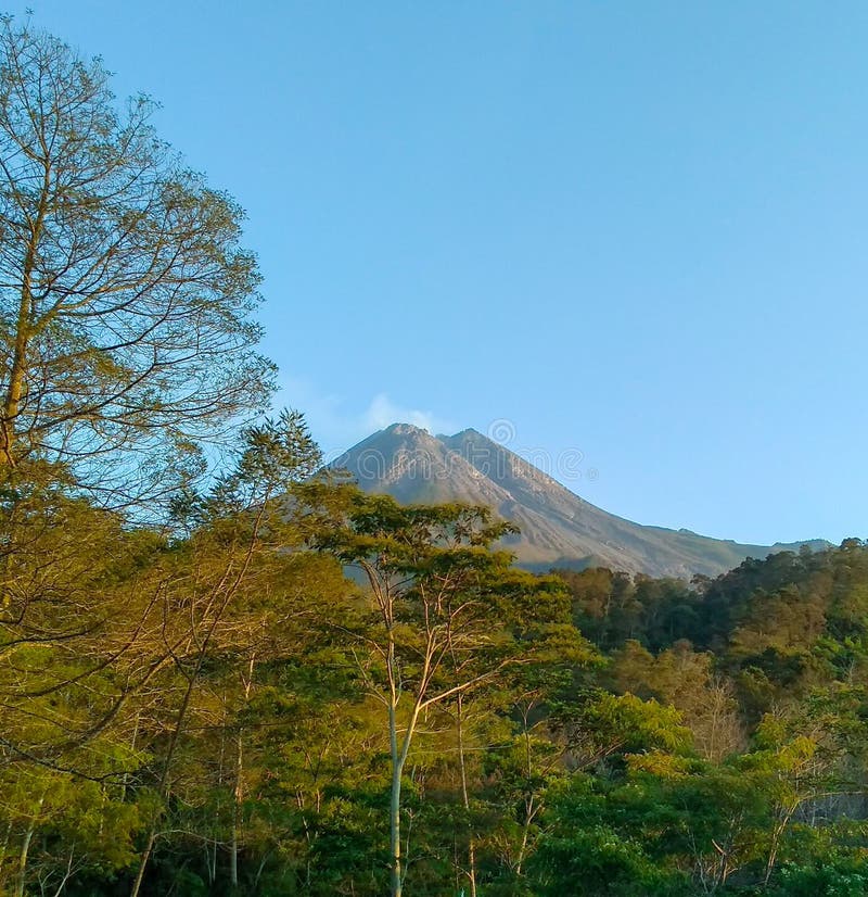 Mount and Tree stock image. Image of valley, plant, forest - 227440977