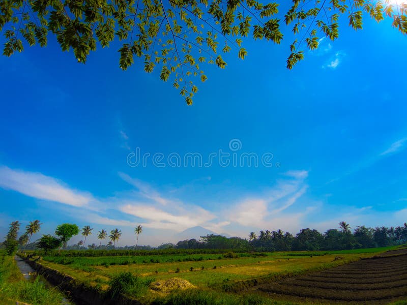 Mount View in the Morning Field Photograph Stock Image - Image of ...