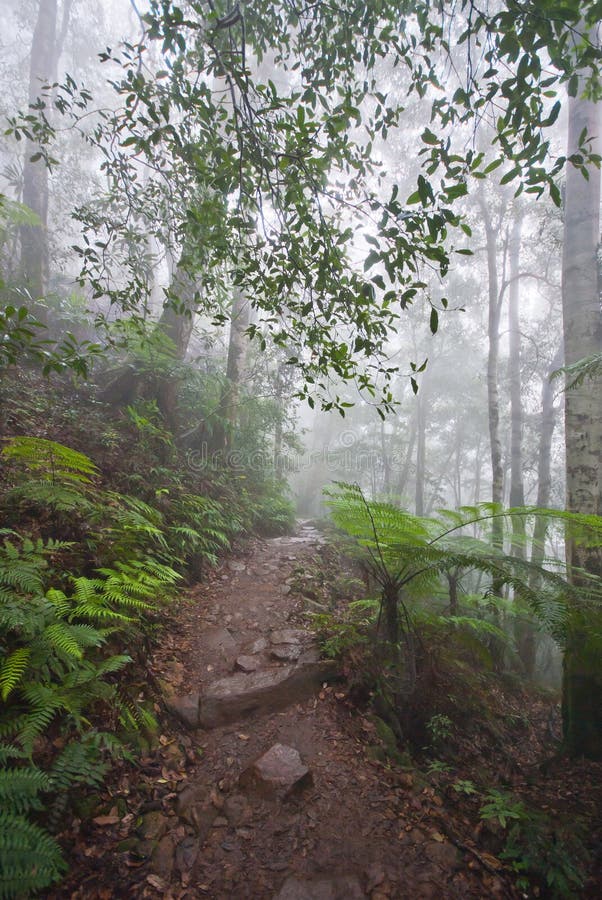 Mount Warning in fog stock image. Image of long, warning - 39123663