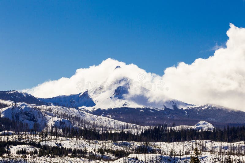 Mount Washington Wilderness in Winter Snow Stock Photo - Image of ...