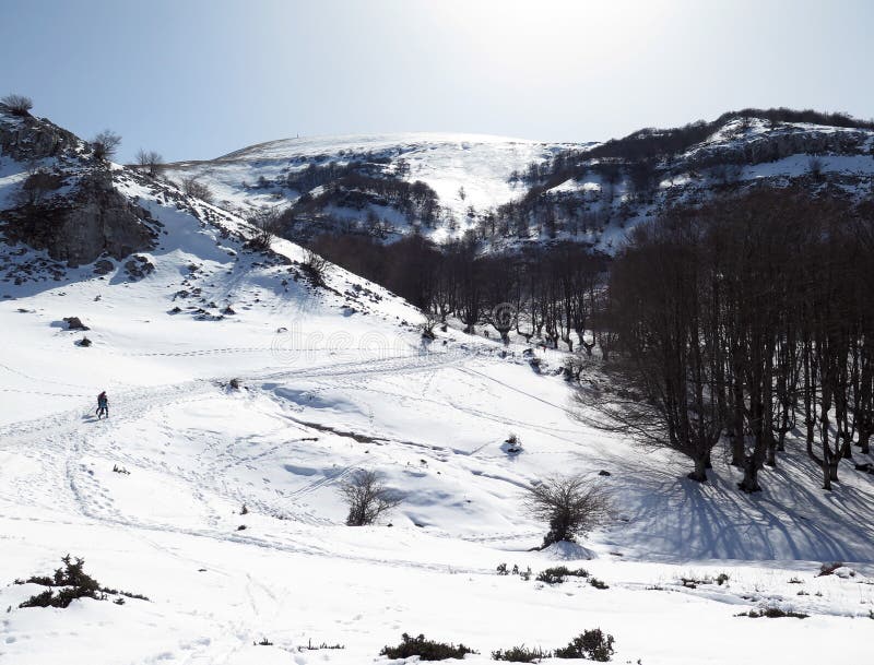 Mount in winter stock photo. Image of scenics, snow, night - 81698910