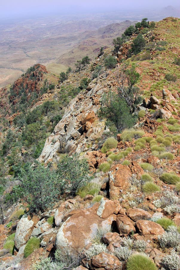 Mount Zeil, Ausralia stock photo. Image of hassock, herbage - 10184470
