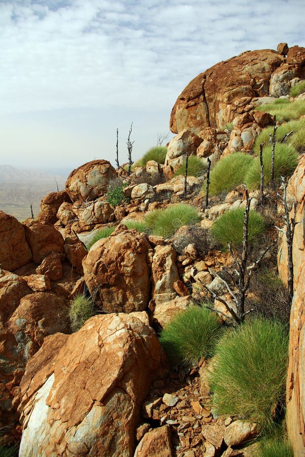 Mount Zeil, Australia stock image. Image of expedition - 10219611