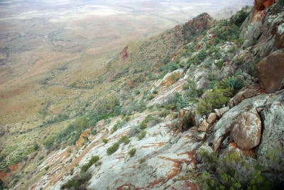 Mount Zeil, Australia stock image. Image of territory - 10291443