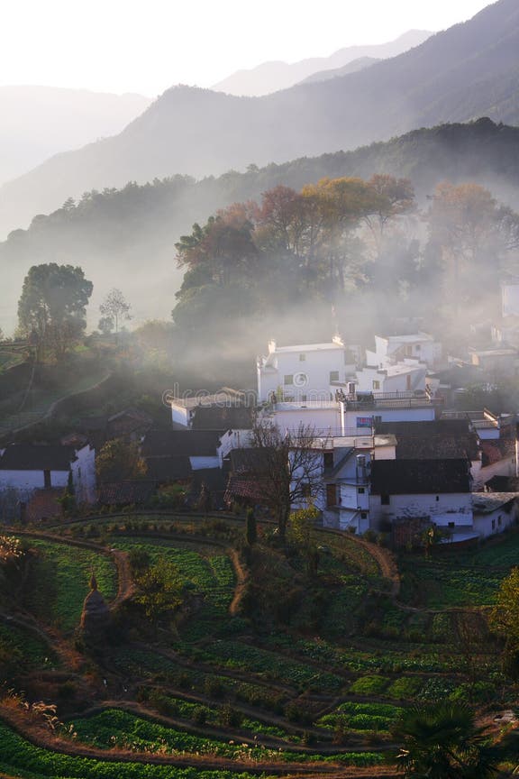 Mountain stock photo. Image of mist, trees, reek, tree - 12132538