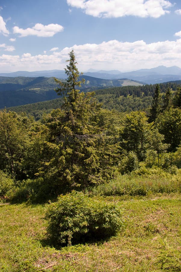 Sky Lakes Wilderness Overlook Fremont-Winema Stock Photo - Image of ...