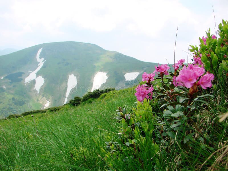 Mountain stock photo. Image of panorama, rock, backpacking - 2646856