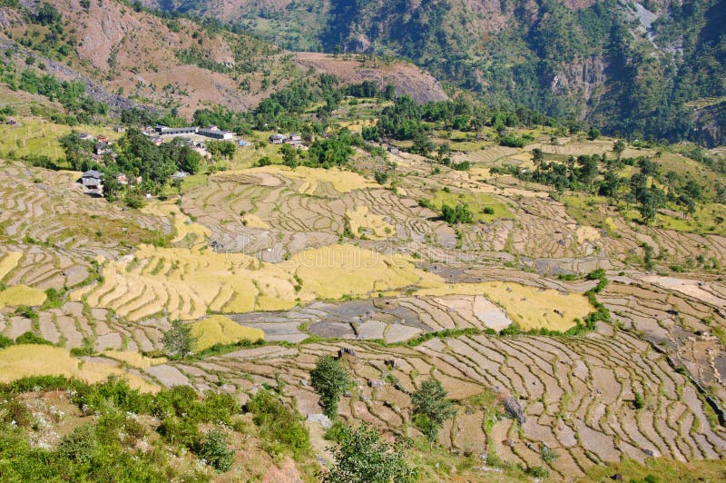 Mountain Agricultural Landscape of Nepal Stock Photo - Image of ...