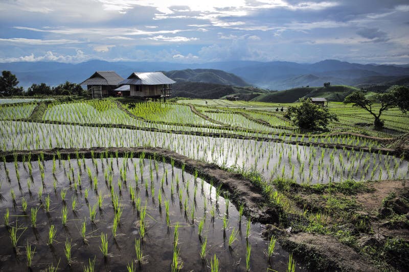 Mountain agriculture stock photo. Image of landmark, rural - 89418676