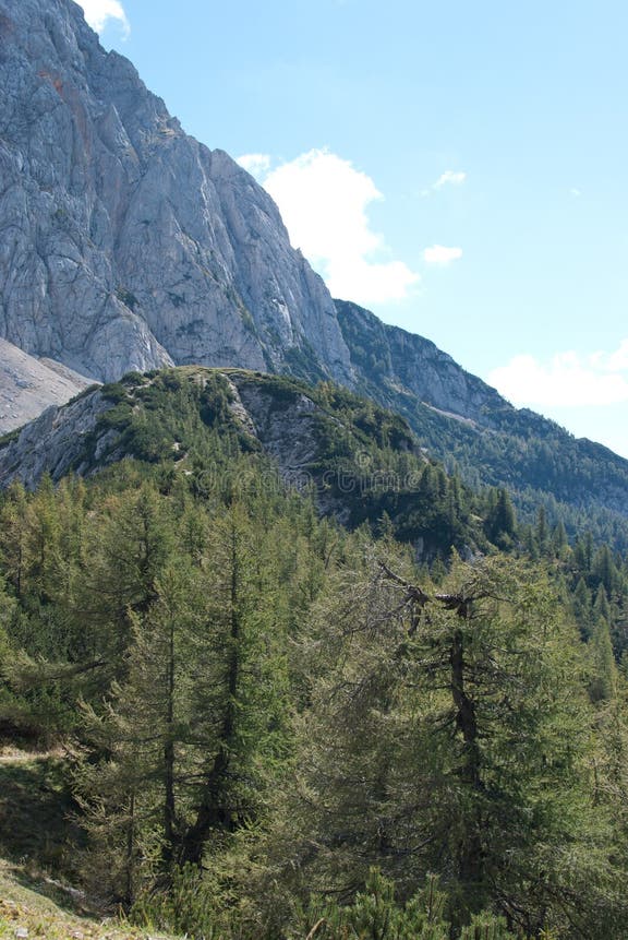 Mountain Alpe stock image. Image of hiking, wood, vrsic - 26870243